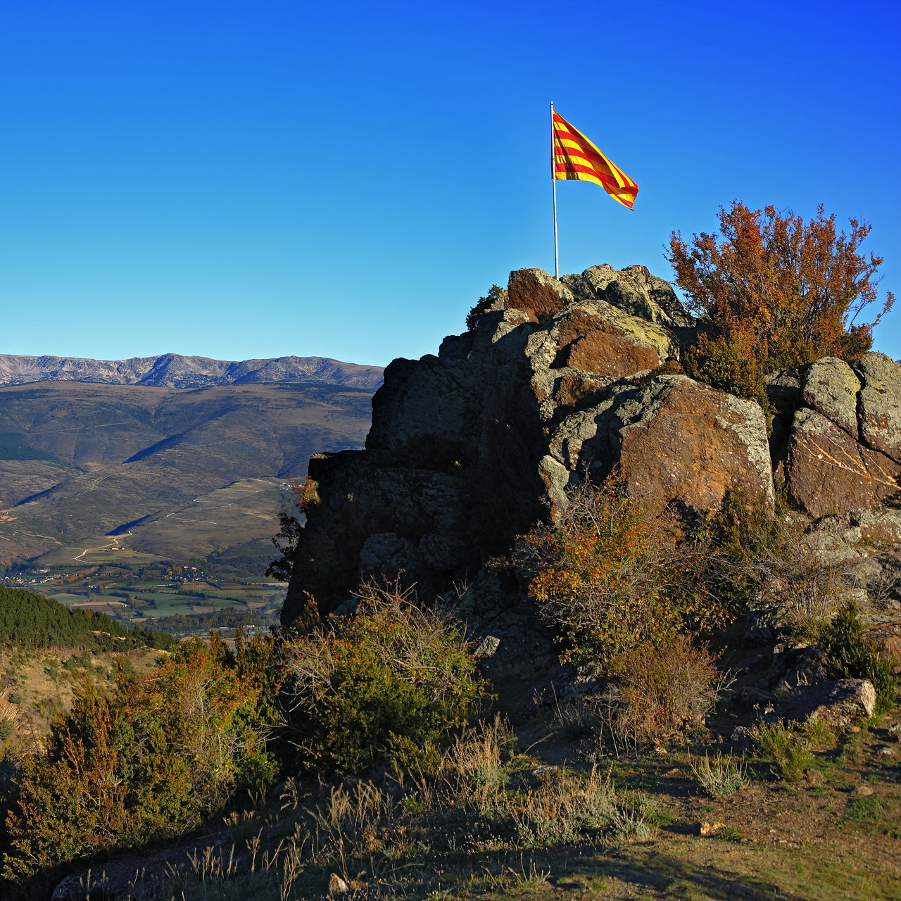Discover the national symbols of Catalonia