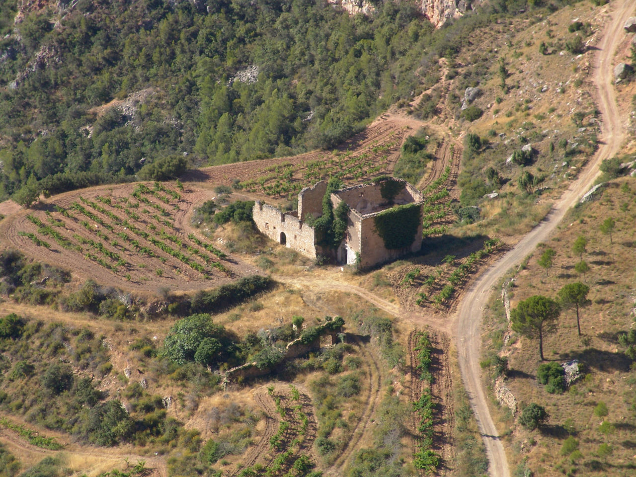Descubre el Parque Natural de la Serra de Montsant