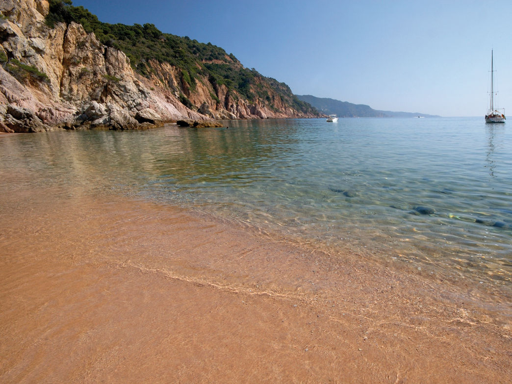 Discover the national symbols of Catalonia